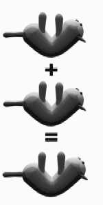 为什么猫从高处落下总能脚着地？有人为此写了一本物理书