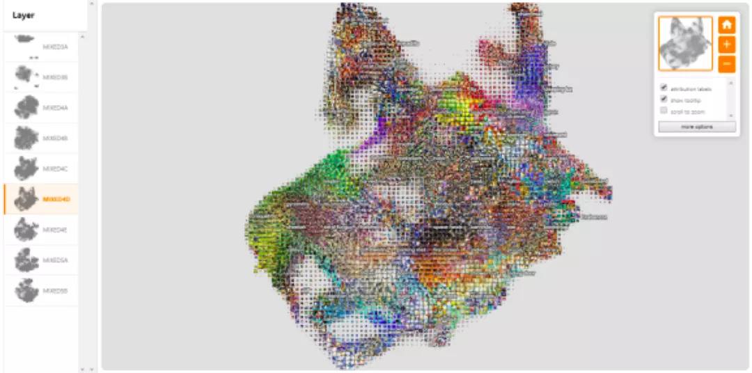 你的可视化ML模型可以用显微镜来看了！OpenAI发布Microscope