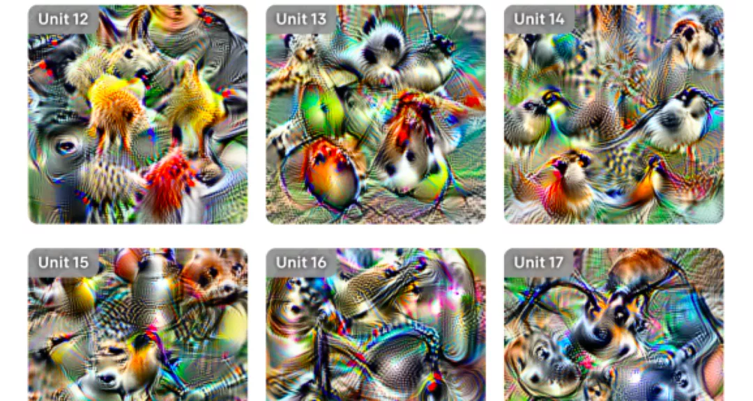 你的可视化ML模型可以用显微镜来看了！OpenAI发布Microscope