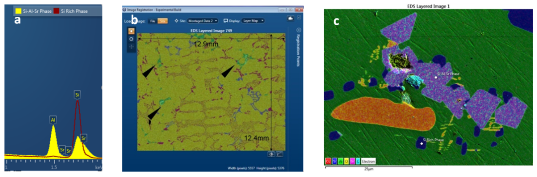如何在SEM中快速定位样品位置 ——AZtec图像配准功能介绍
