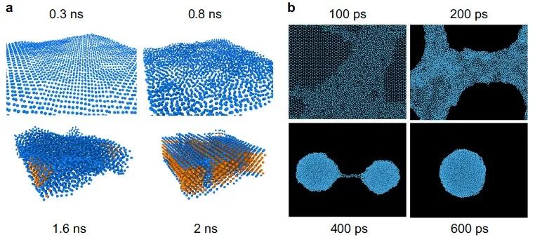 npj: 自动主动学习力场—加速大规模动力学模拟